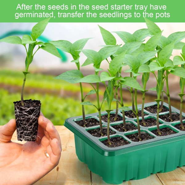 Posuda za uzgoj rasada sa pregradama | PLANTURKA – superzebra.rs